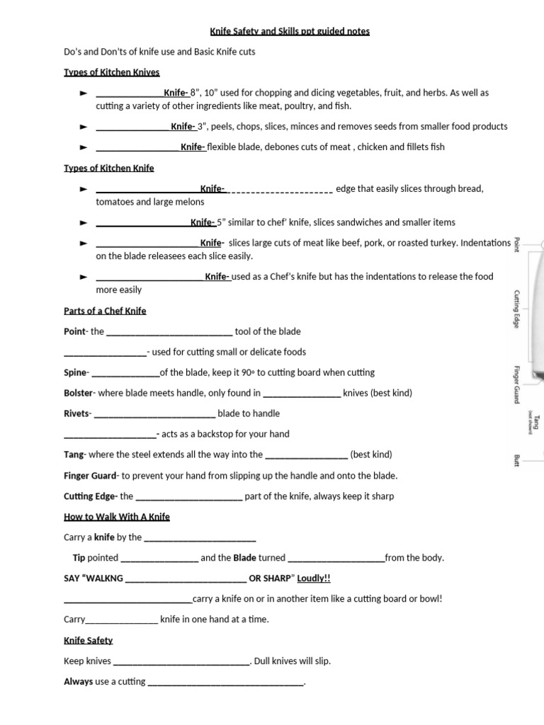 Knife Safety and Skills PPT Guided Notes | PDF | Knife | Blade