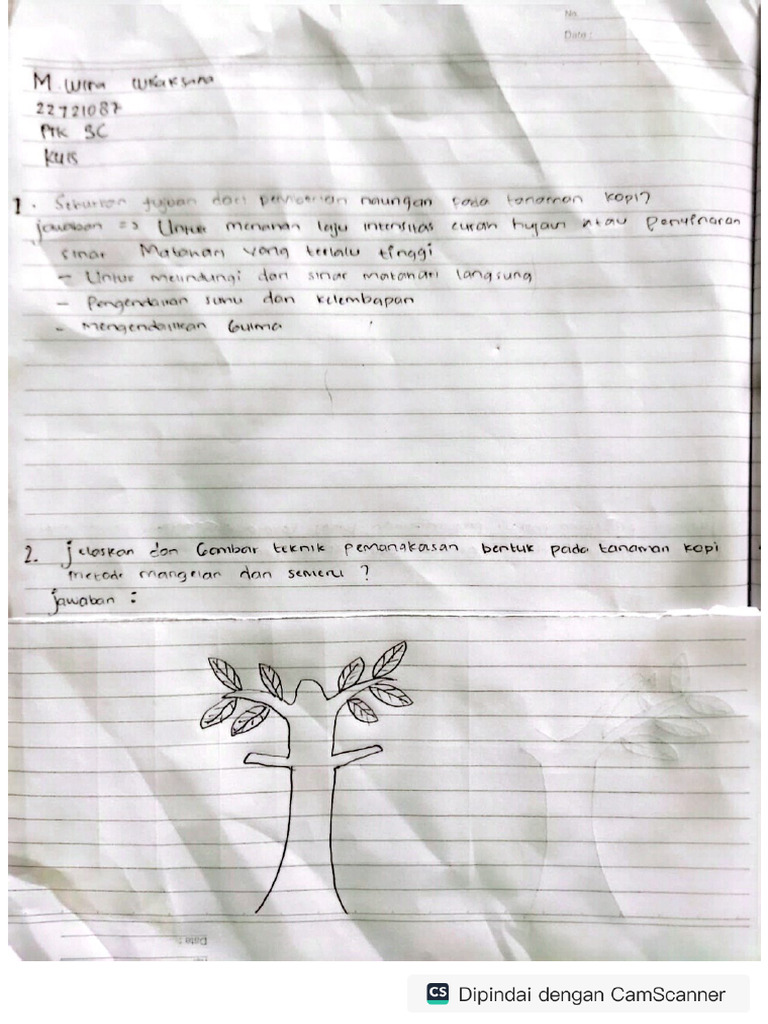 Quis 2 Kopi Wira | PDF