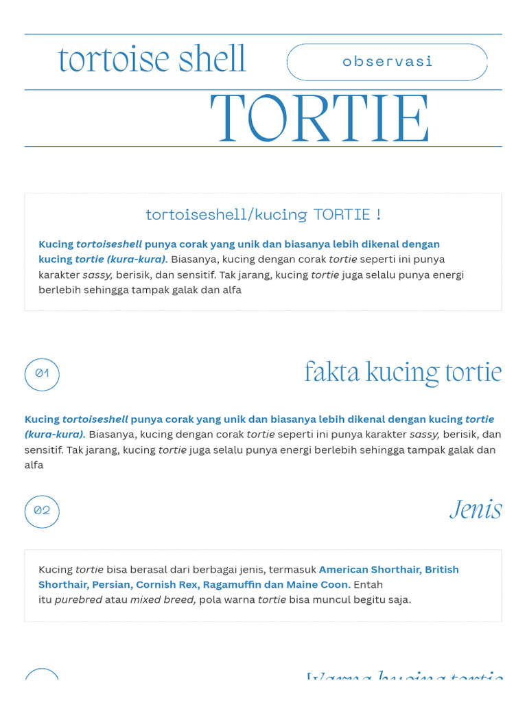 Kucing Tortie | PDF