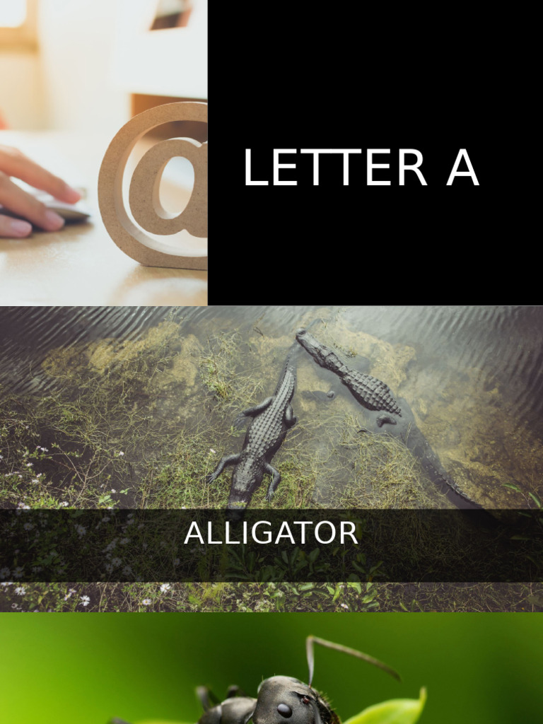 Letter A | PDF