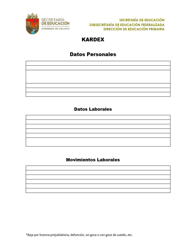 FORMATO DE KARDEX | PDF