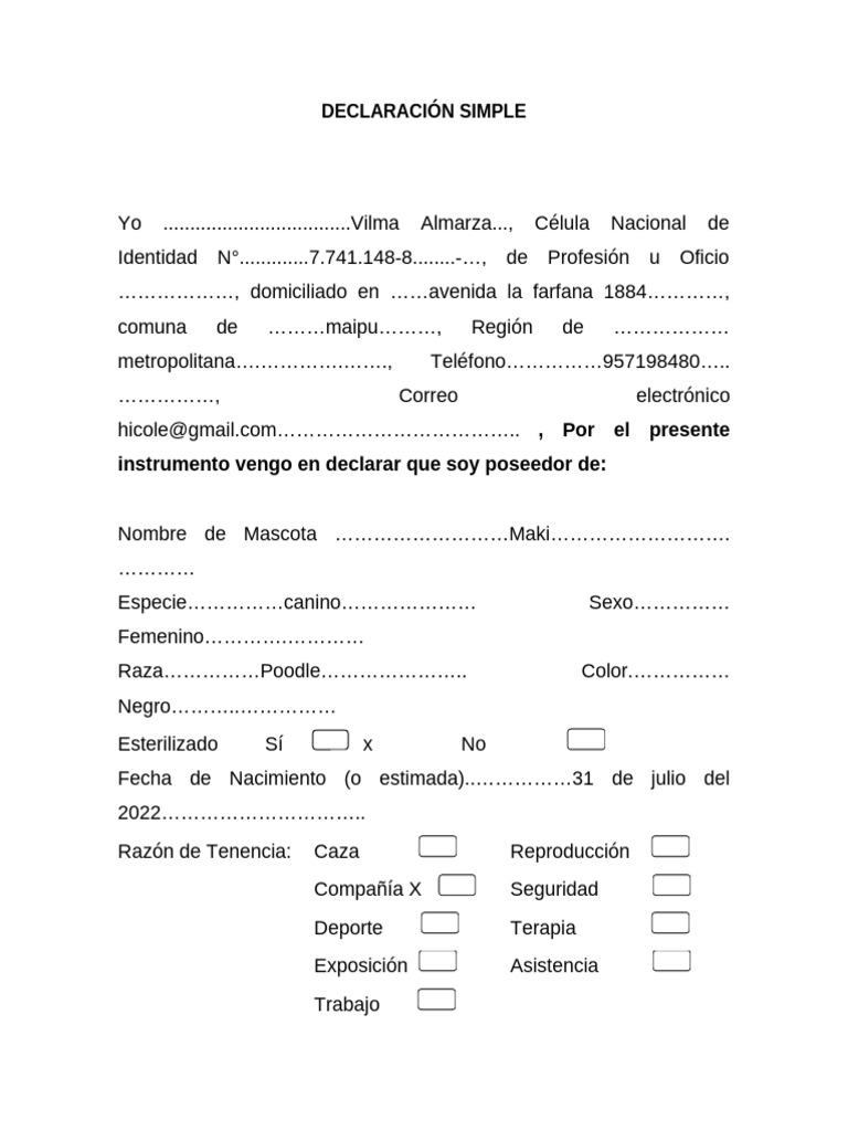 Declaracion Simple Poseedor | PDF