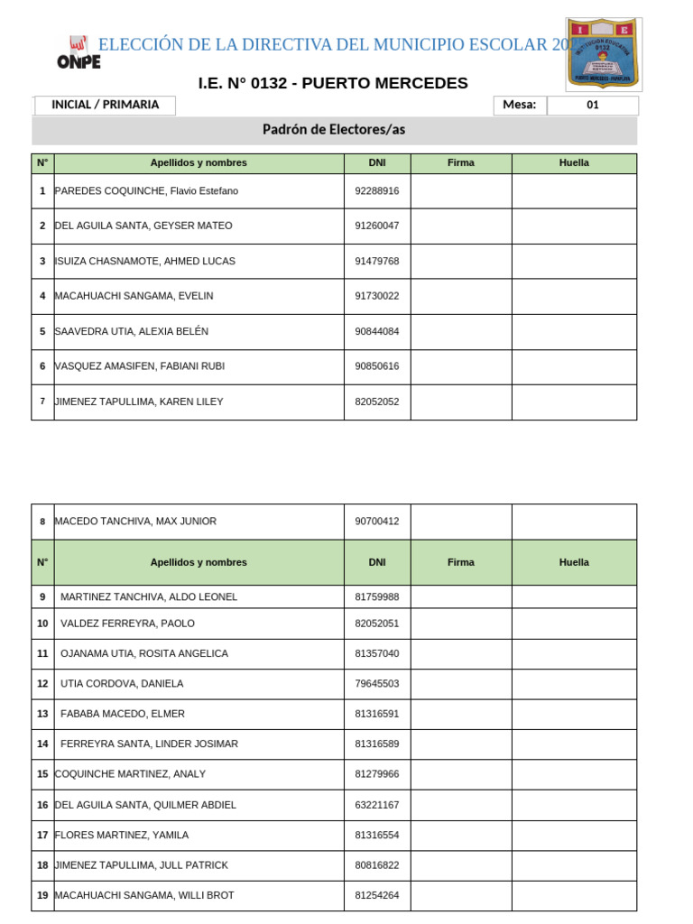 Diseño de padrón | PDF