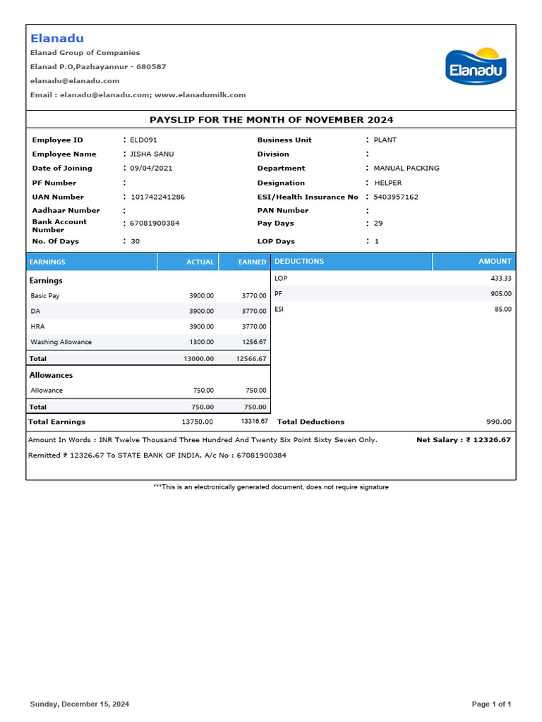 November 2024 Payslip | PDF