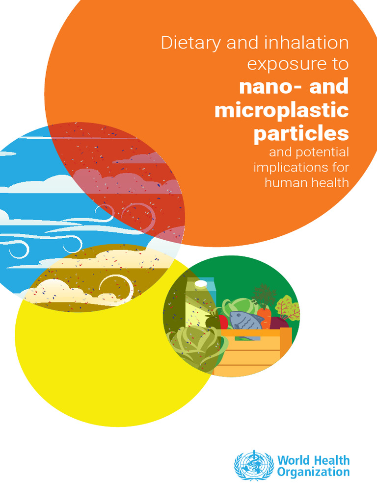Health Risks of Nano- and Microplastics | PDF | Polymers | Fibers