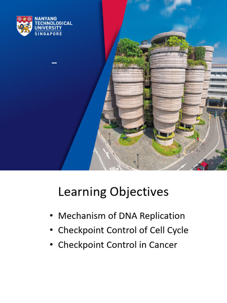 CB1131 - Biomolecular Engineering - Week 4 - Replication Cell Cycle Cancer - 2024 | PDF | Dna ...