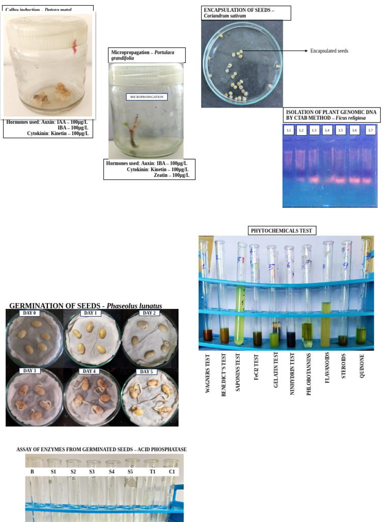 Final Year PTC Pic | PDF
