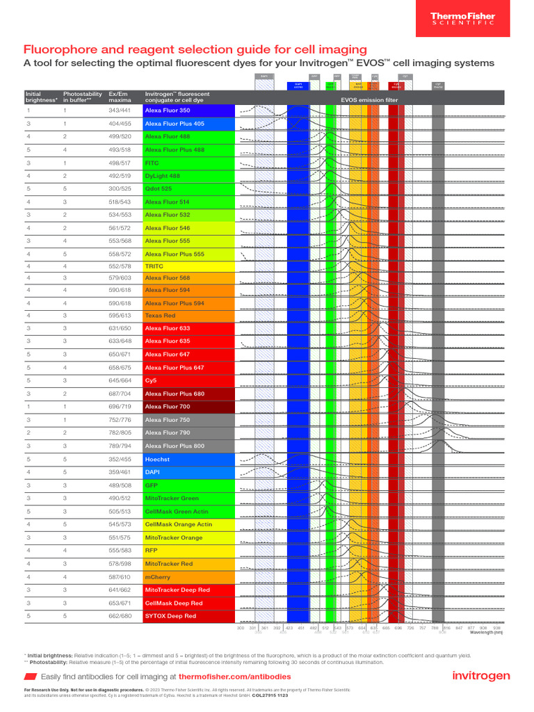 fluorophore-reagent-selection-guide-cell-imaging-selection-guide | PDF ...