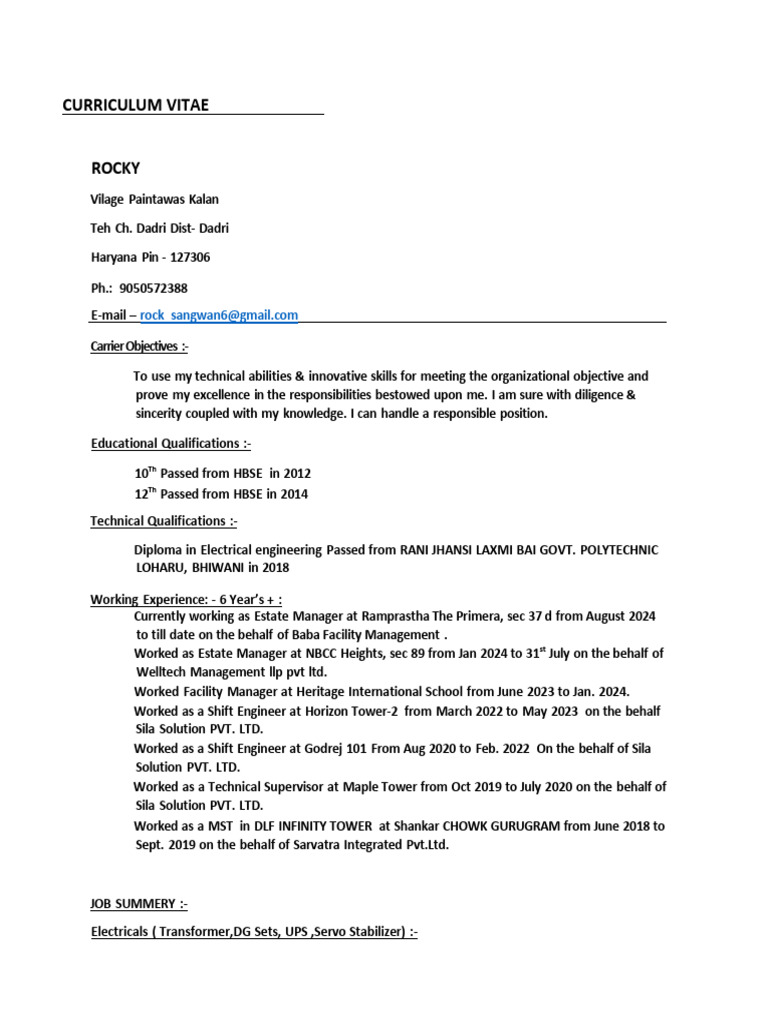 Rocky Cv. 2024 (2) | PDF | Fire Sprinkler System | Hydraulics