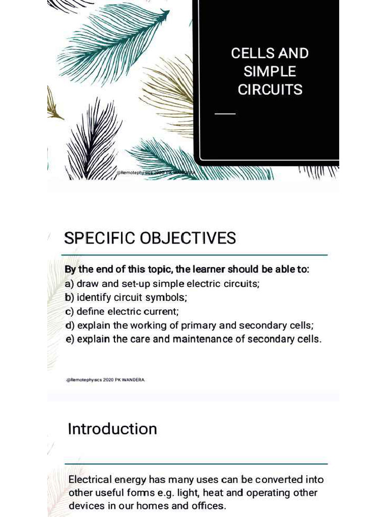 Cells and Circuit | PDF