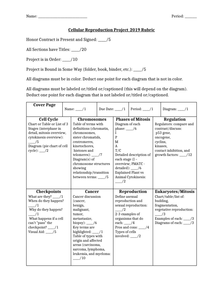 Cellular Reproduction Project Rubric | PDF | Mitosis | Chromosome
