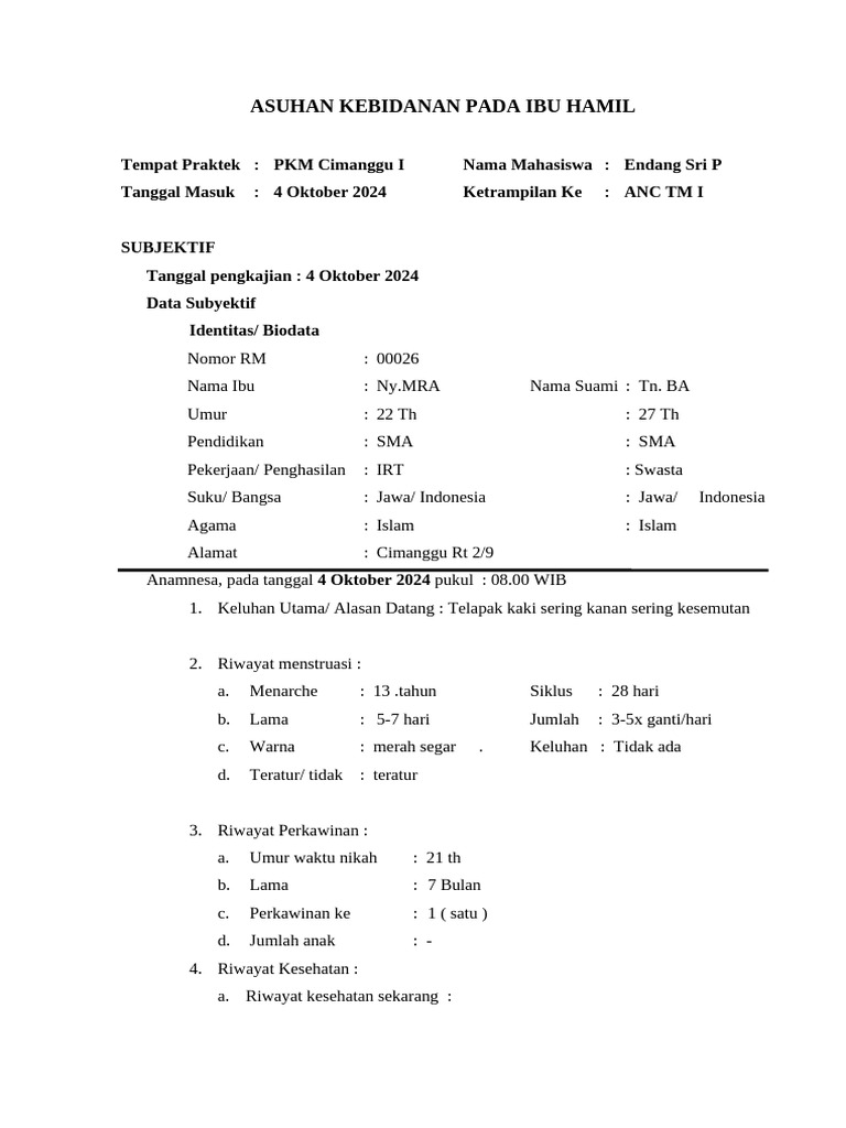 Askeb Pada Ibu Hamil 1 | PDF