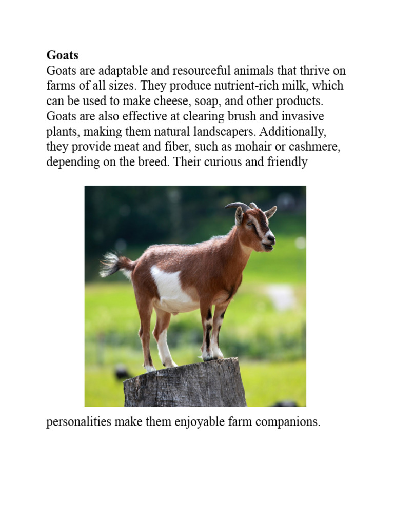 Goat | PDF