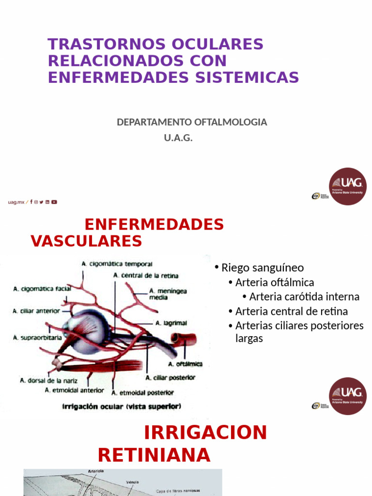 ENFS - SIST.CON AFECT. OC. Nueva Plantilla OK 3 | PDF | Especialidades Medicas | Enfermedades y ...