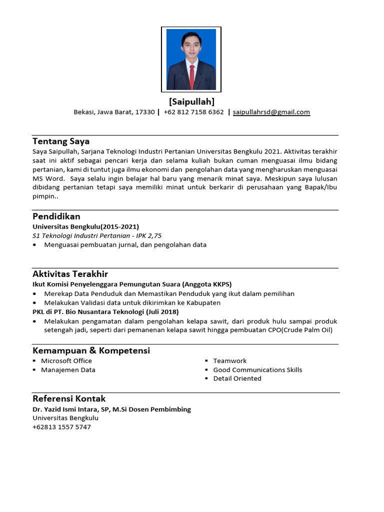CV Saipullah | PDF