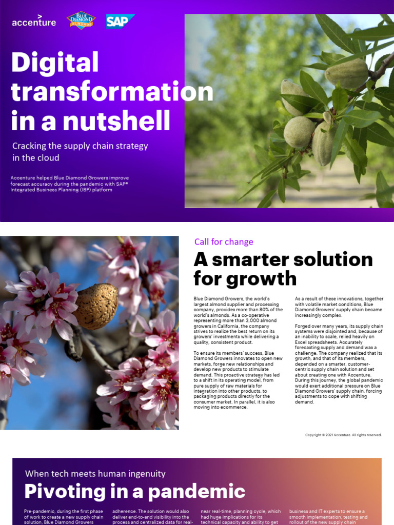 Accenture Blue Diamond Accenture Client Story | PDF | Supply Chain ...