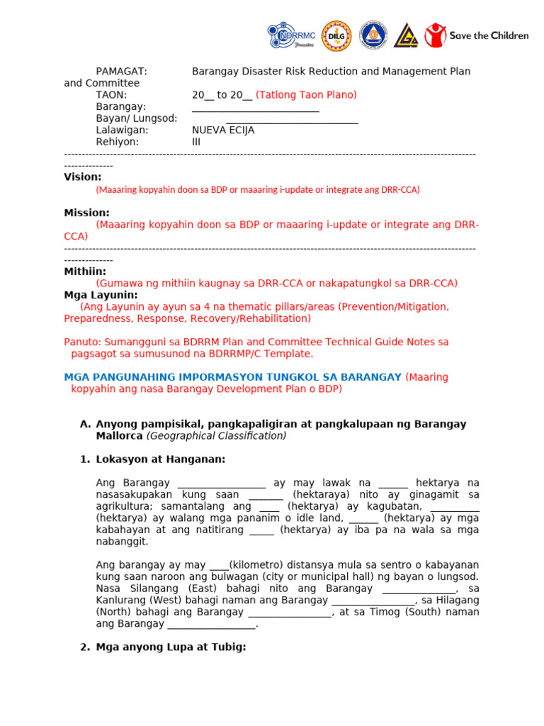 BDRRM Plan NEW Template (1) | PDF