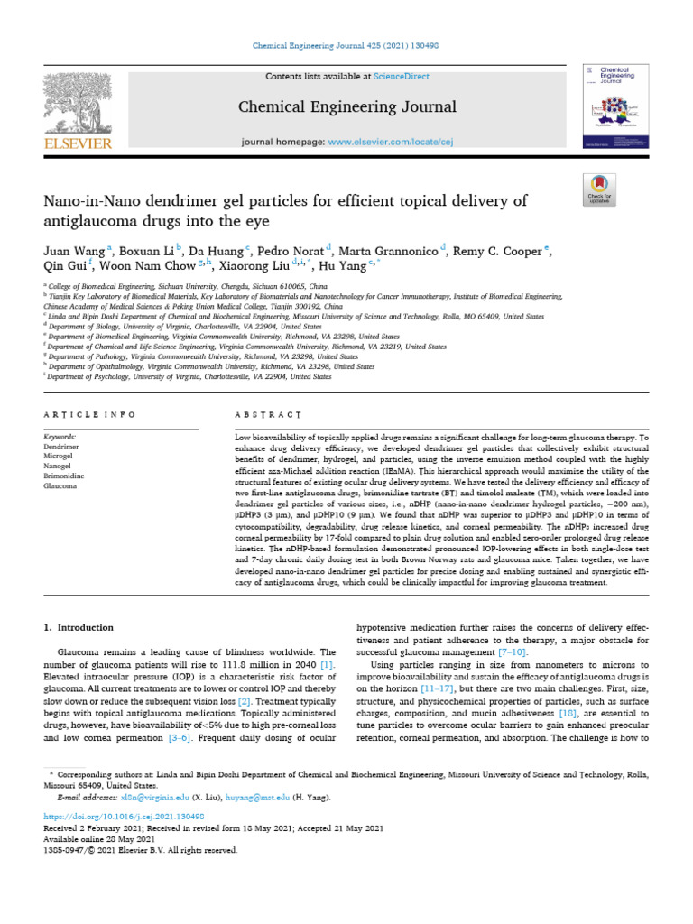 Nano in Nano dendrimer | PDF | Glaucoma | Topical Medication