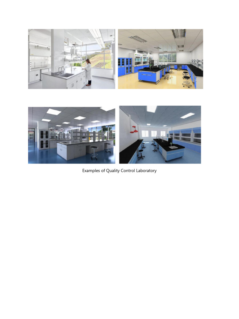 Examples of Quality Control Laboratory | PDF