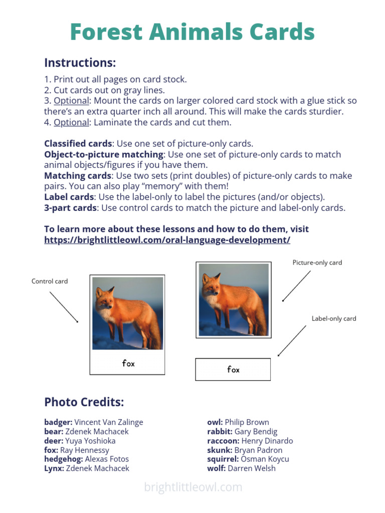 23B Forest Animals Cards | PDF