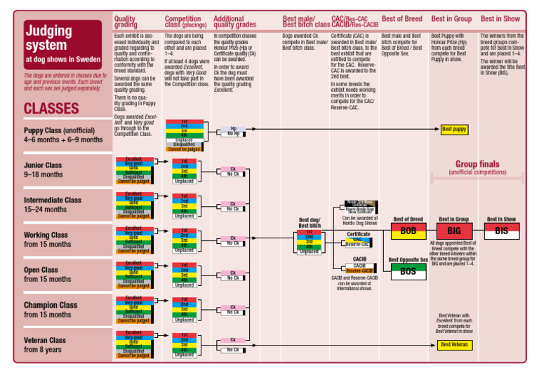 Judging System in Sweden | PDF | Animal Rights | Competition