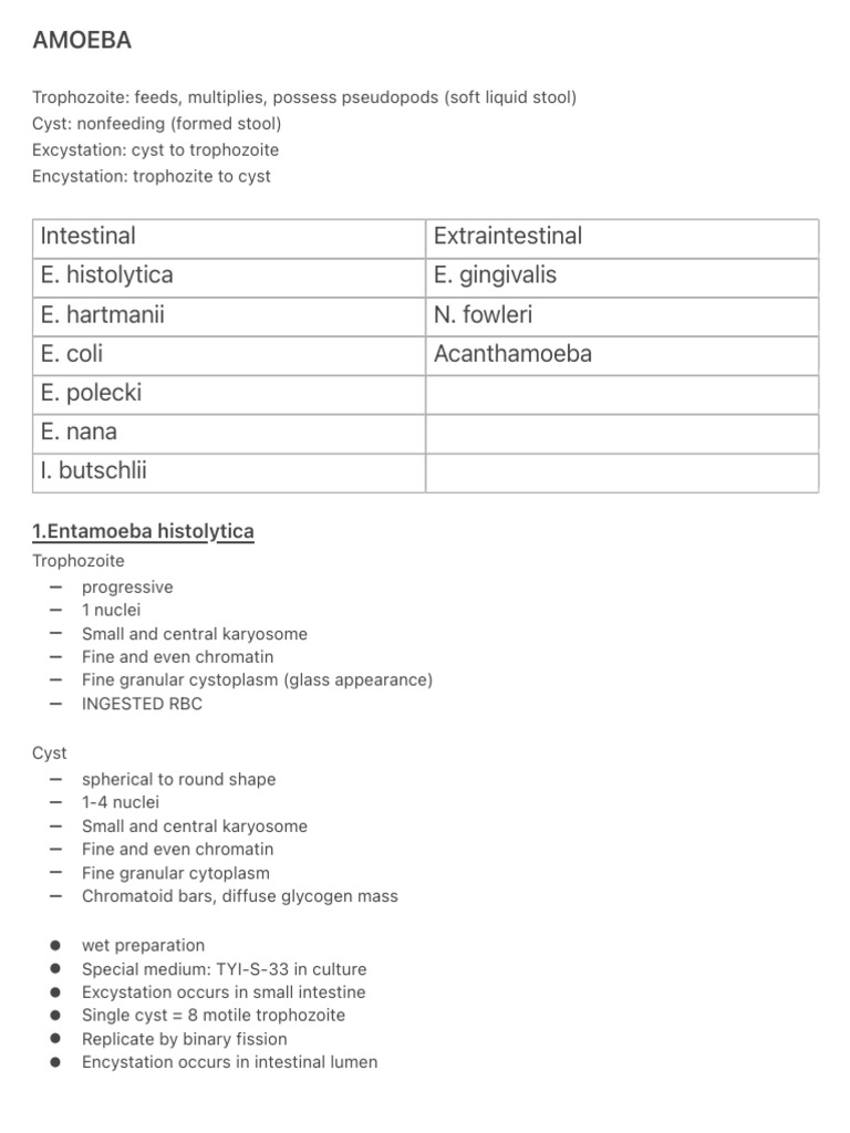AMOEBA | PDF | Medical Specialties | Microbiology