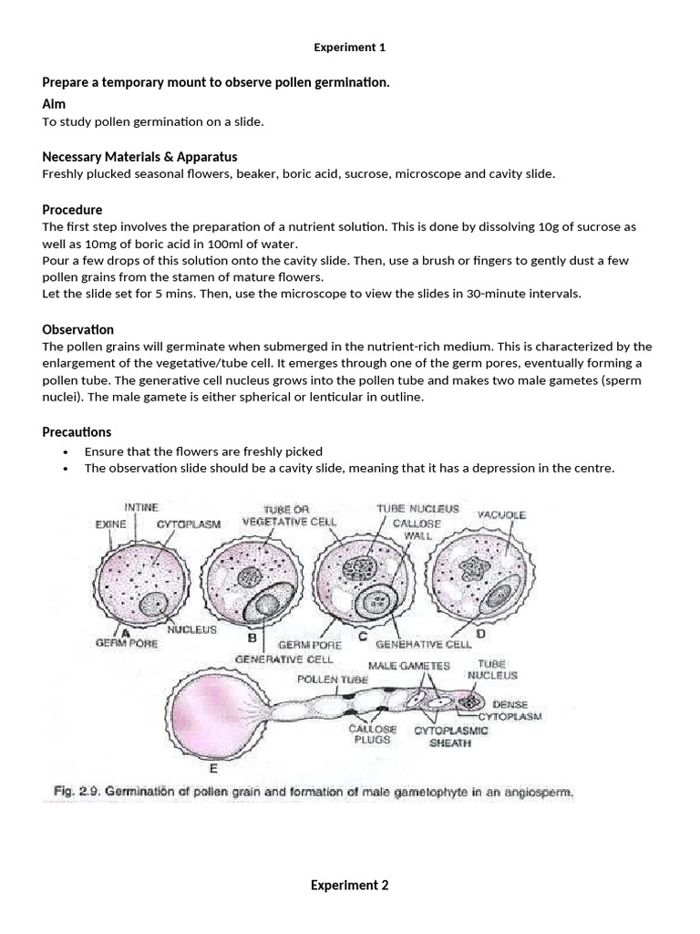 XII Bio Practical Material 2024-25 | PDF | Flowers | Pollination