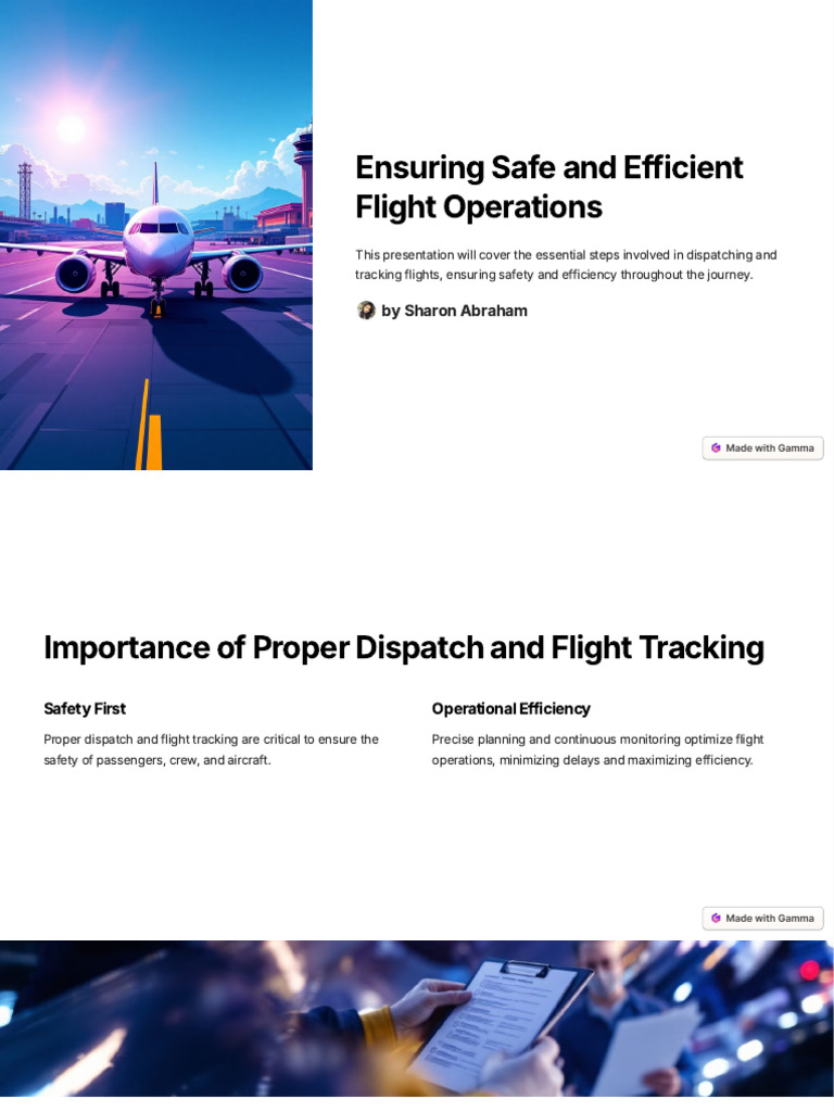 Flight Safety & Efficiency Guide | PDF | Aircraft | Logistics
