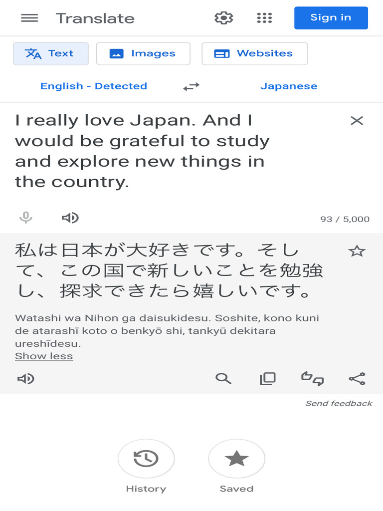 Google Translate | PDF