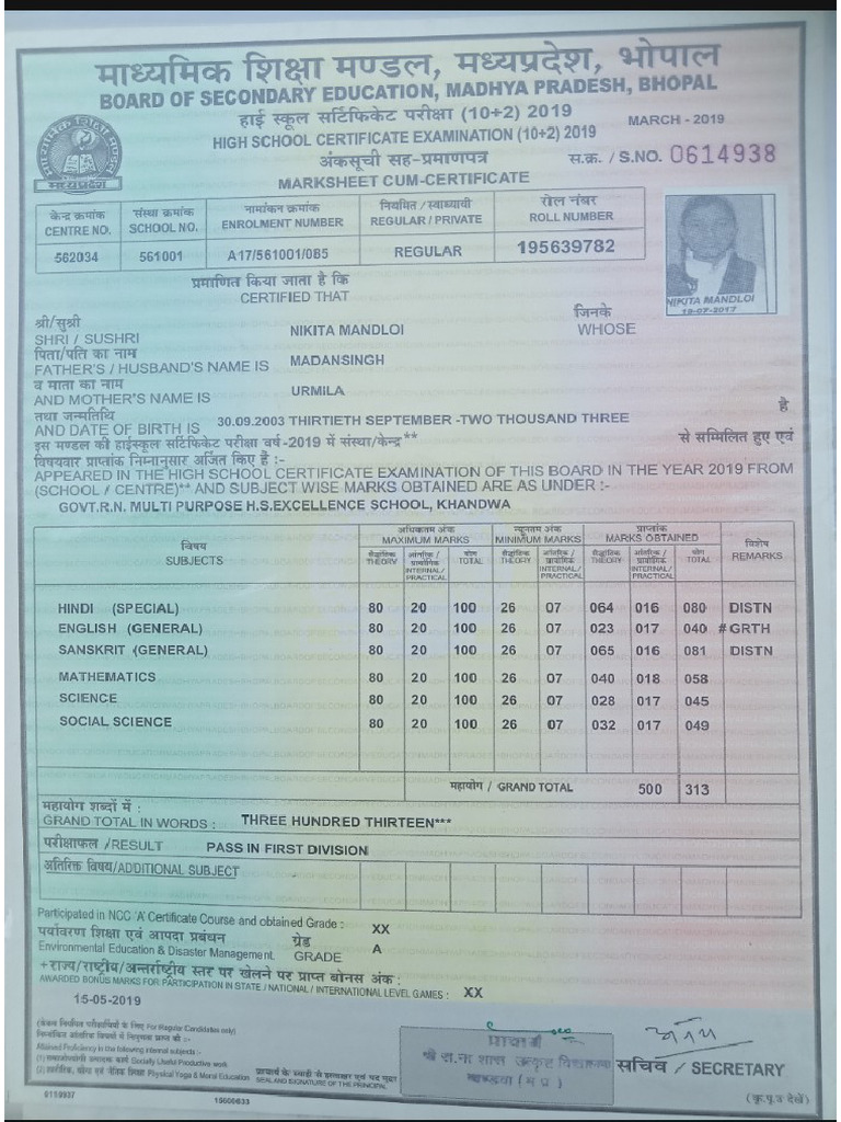 10th Mark Sheet NM | PDF