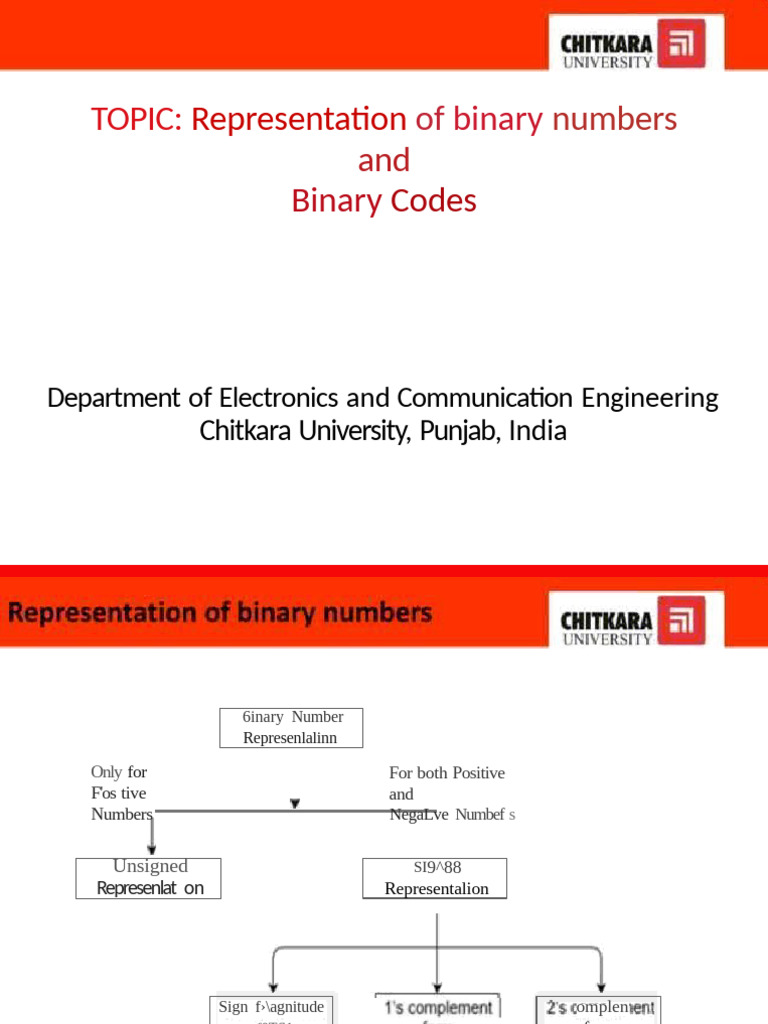 Topic:: Representation | PDF | Binary Coded Decimal | Arithmetic