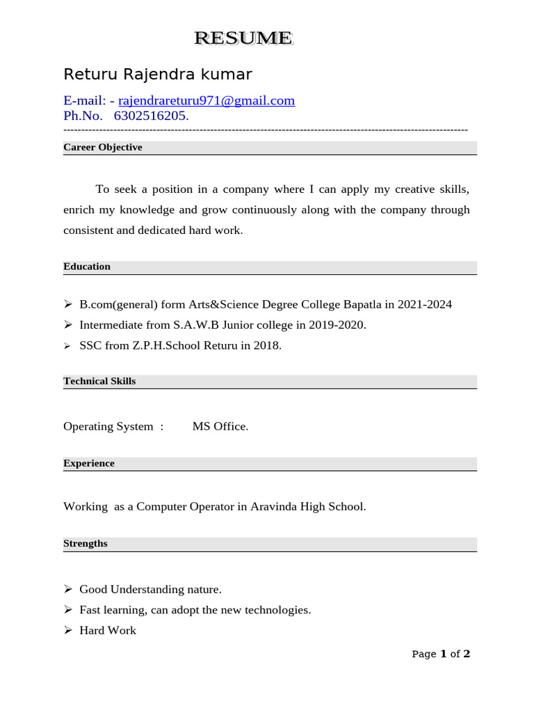 Robin Hoood (Resume) | PDF