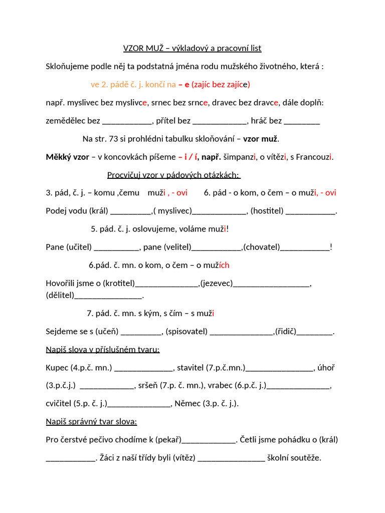 Vzor Muz | PDF