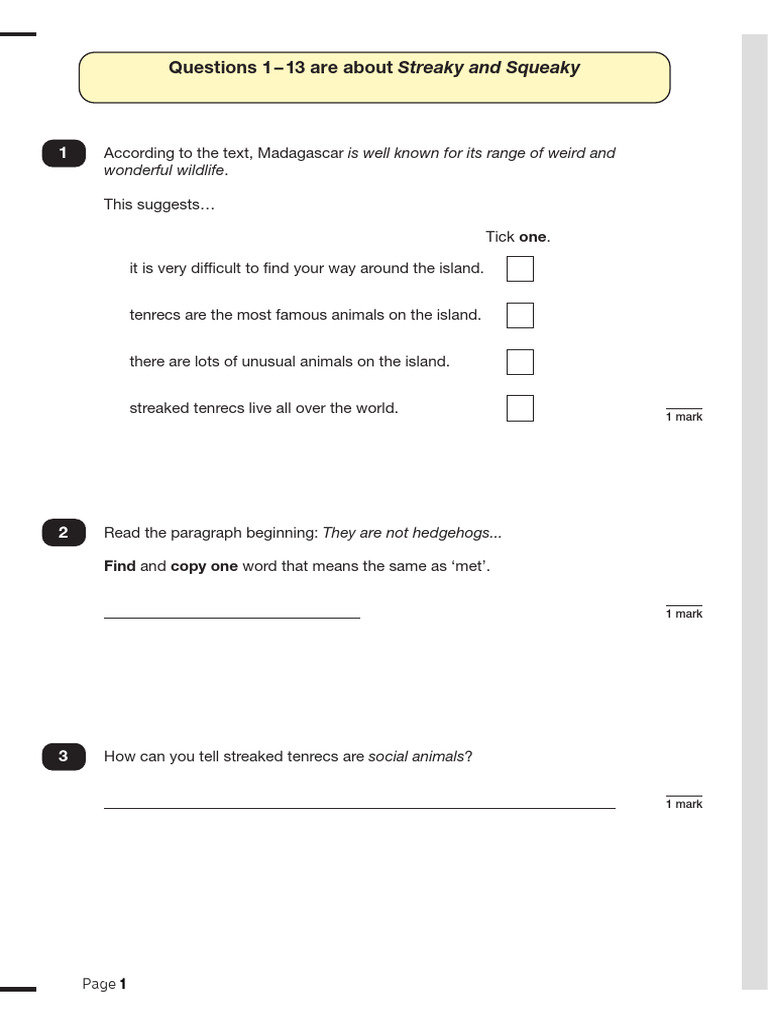 KS2 Reading Comprehension Answers 2024 | PDF