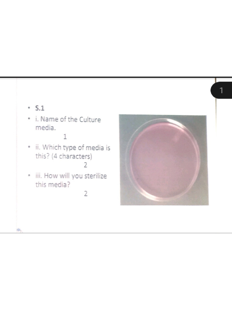 Micro OSPE (Solved) | PDF