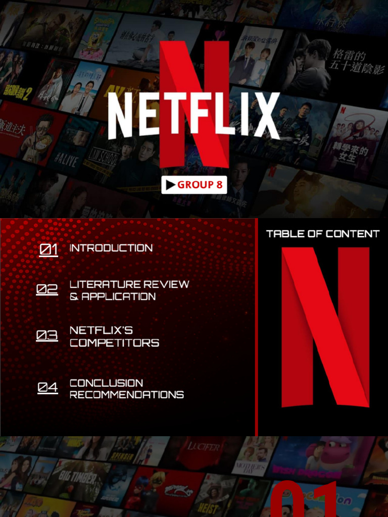 Project_Netflix | PDF