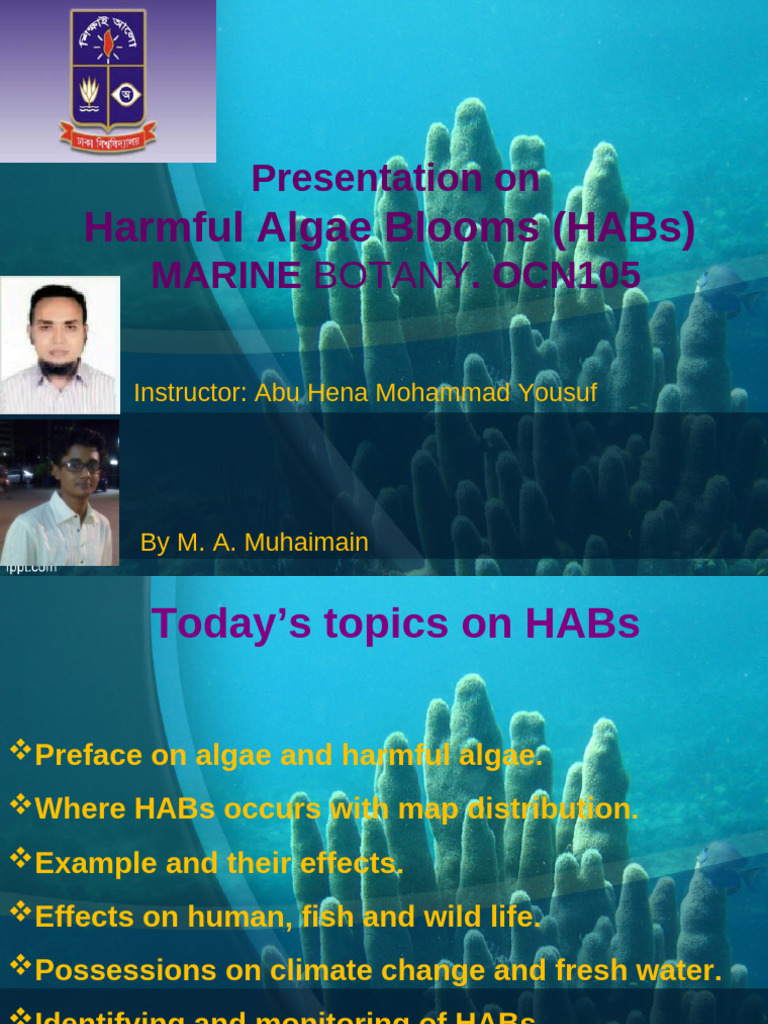 HABs (Harmful Algal Blooms) | PDF | Cyanobacteria | Algae