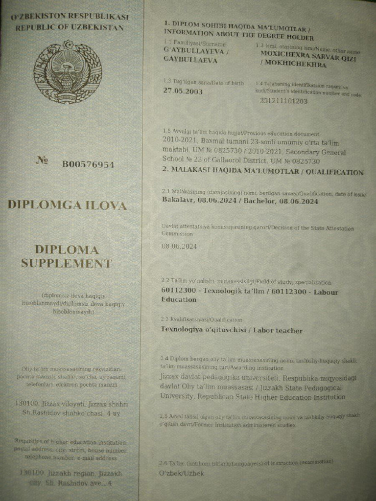 Diplom Ilova | PDF