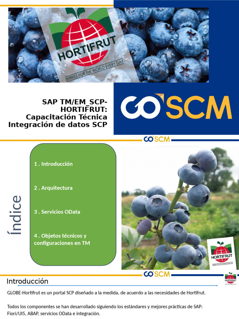 Sap Tm_scp-hortifrut_capacitación Técnica Scp | PDF | Software ...
