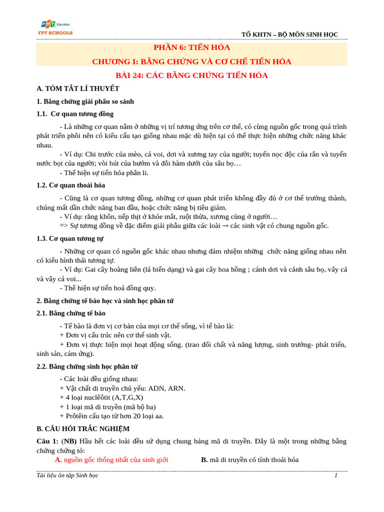 SH12 - Tài Liệu Học Hkii | PDF