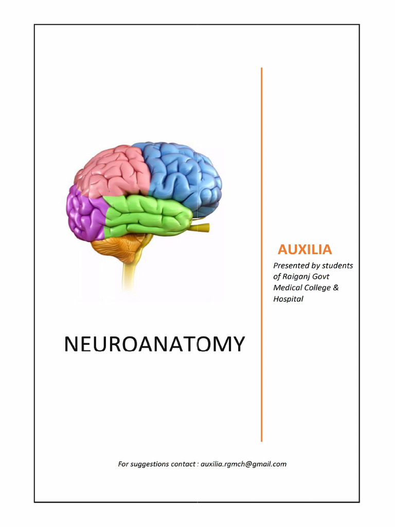 Neuroanatomy 755 FPDF Image Print - Watermark | PDF