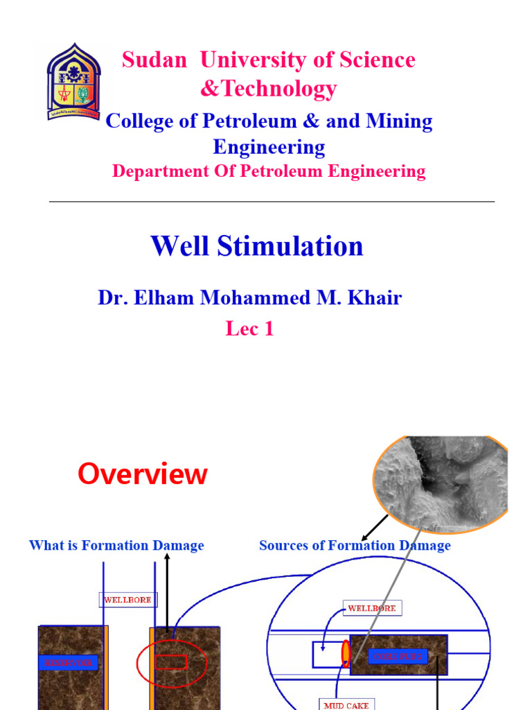 Formation Damage Lec1 | PDF | Oil Well | Porosity