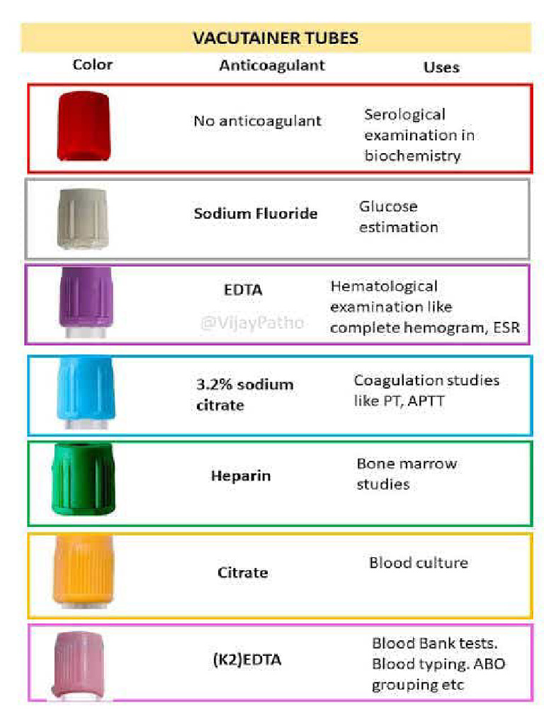 Pathology Clinical Tray Spotting | PDF