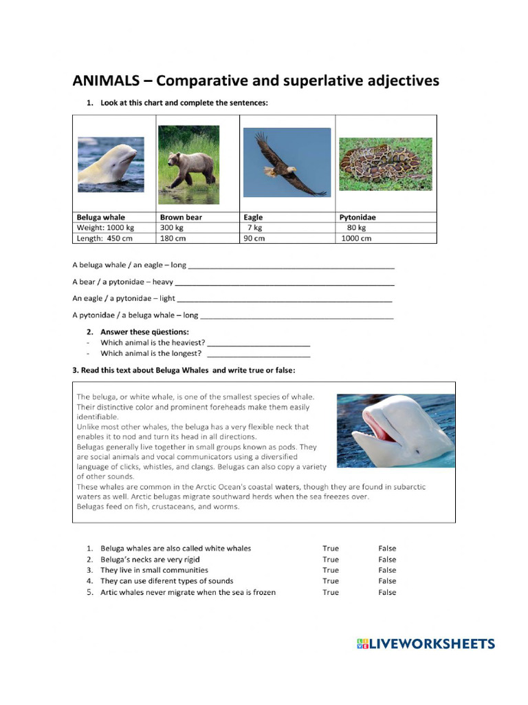 Steps Plus 6 Unit 3 Comperatives and Superlatives Animals | PDF