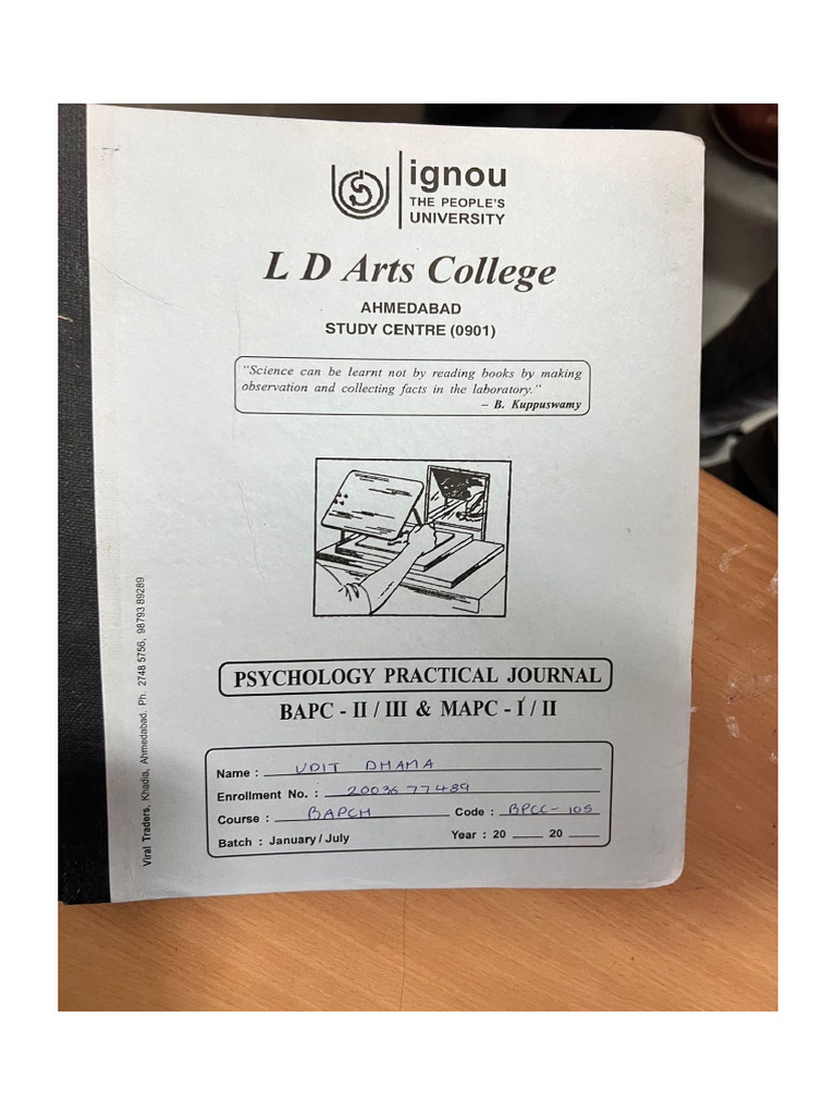 Bapch Journal Sample | PDF