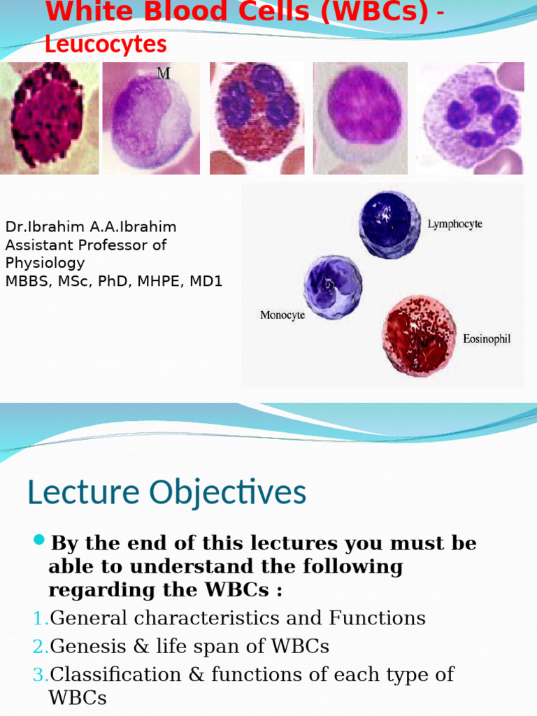 Medical Students' Guide to WBCs | PDF | White Blood Cell | Lymphocyte