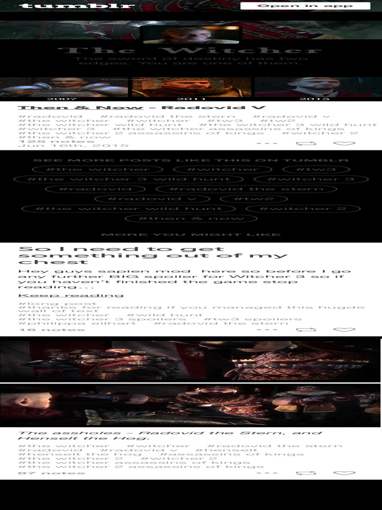 The Witcher - Then & Now - Radovid V | PDF