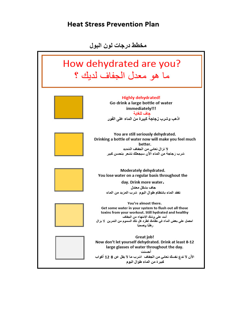 Heat Stress - Urine Colour Coding Charts | PDF