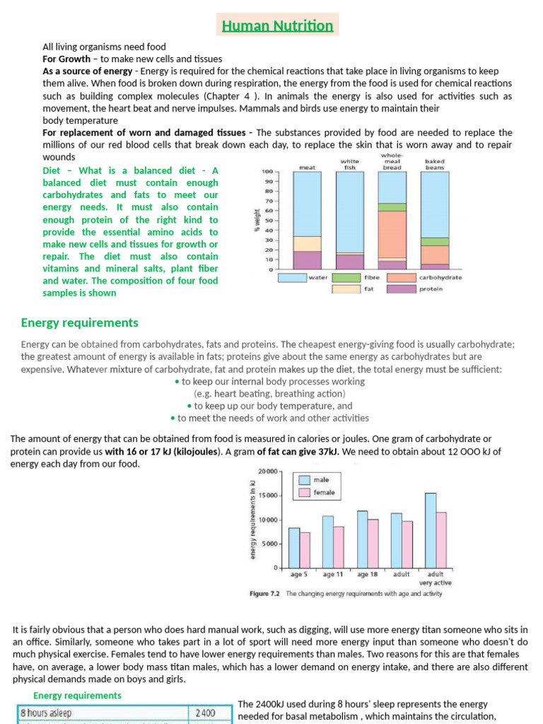 Nutrition Essentials for All Ages | PDF | Carbohydrates | Amino Acid