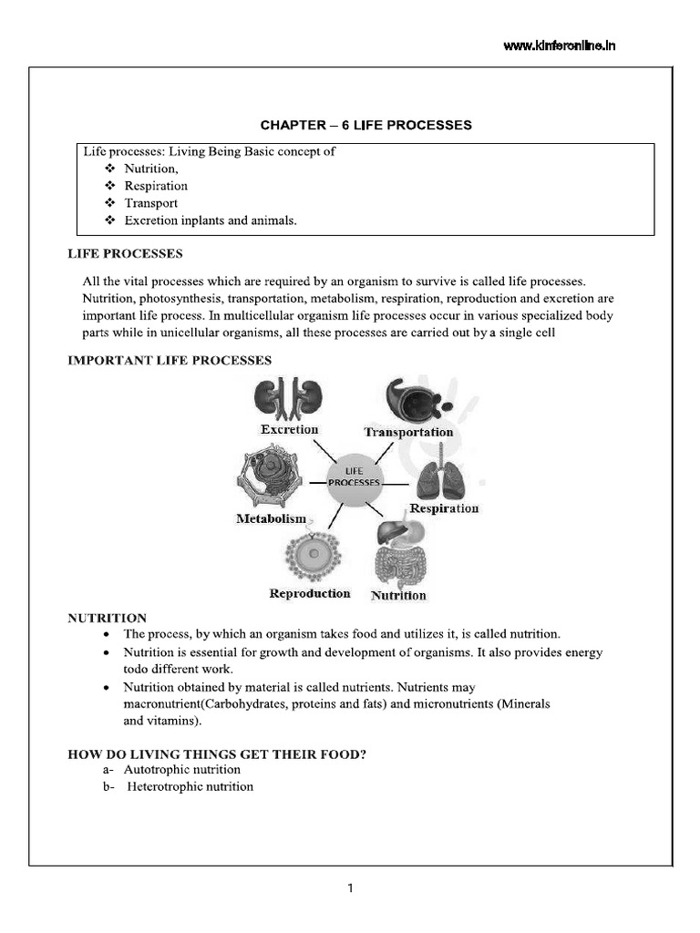 Kinfer Online Website Overview | PDF